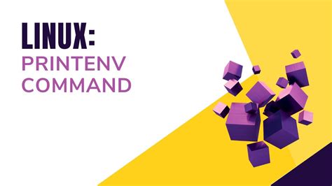 Printenv Command Bash Scripting Shell Scripting By Designer