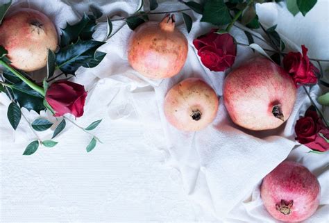 Youth Council Of Zugdidi ზუგდიდის ახალგაზრდული სათათბირო 🎯 ახალგაზრდული სათათბირო ახალი