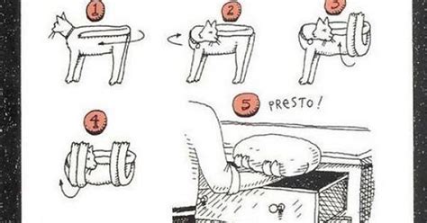 Instructions Imgur
