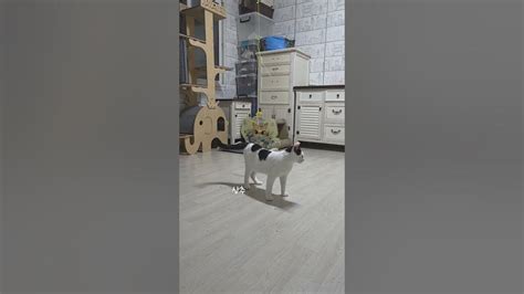 혼자 노는거 들켰음😅♡잠난감이 닳고달아 Youtube