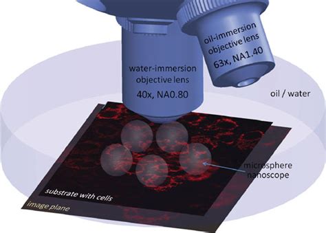 Microsphere Nanoscope Enables Super Resolution Biological Microscopy