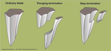 Stone Flake With Knapping Errors