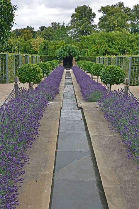 Best Specimen Trees And Plants For Your Garden Burghley House Gardens