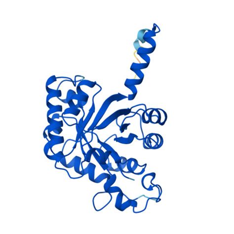 Rcsb Pdb Afafq47098f1 Computed Structure Model Of 4 Hydroxy 2 Oxo