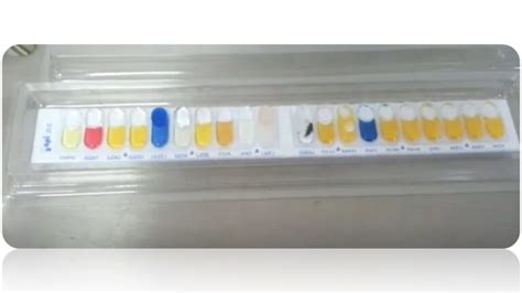 API Test For Bacteria Introduction Principle Test Requirements