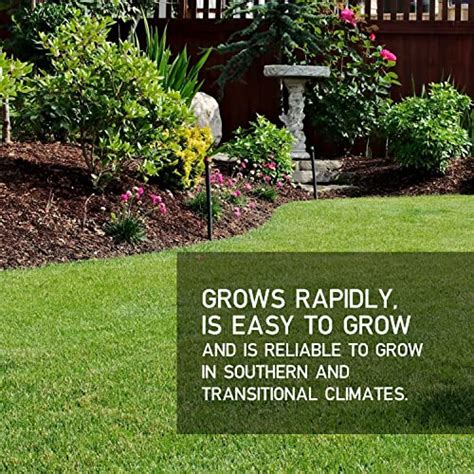 Hancock Seed Co Highlander Turf Bermuda Grass Seed 10 Lbs — 🛍️ The Retail Market