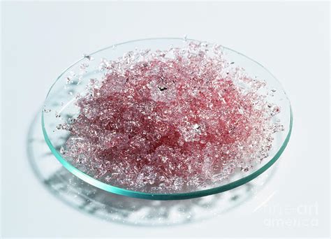 Phenol Crystals By Science Photo Library