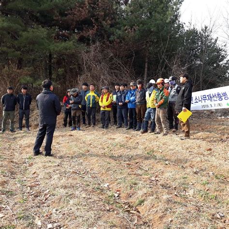 상주시 소나무재선충병 방제사업 총력 대응 아주경제