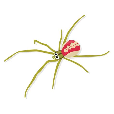 Weird Colorful Spider Isolated White Background Spider Vector Cartoon Stock Vector By ©nutkinsj