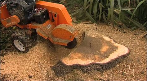 How A Stump Grinder Works