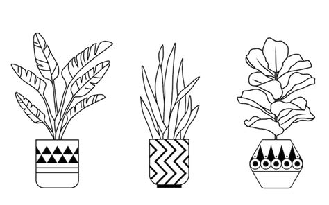 Lyrata Vectors And Illustrations For Free Download Freepik