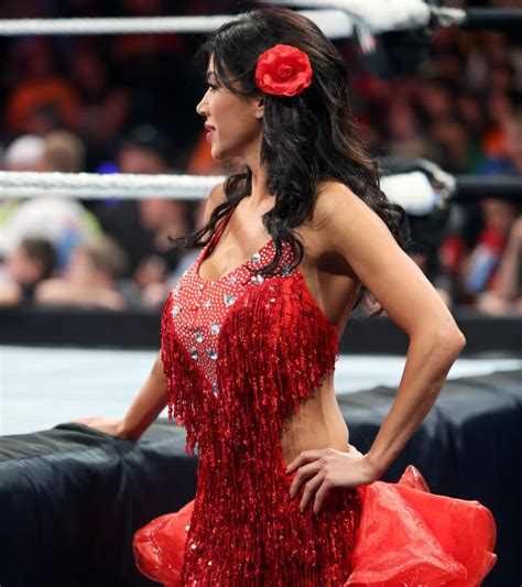 Wwe Women 🎃 Raw Flashback Rosa Mendes And Fandango