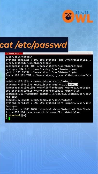 Check The Passwd File Youtube