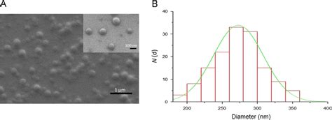 Pcl Pip Nps Observed By Sem A Sem Micrograph B Histogram Of The Download Scientific Diagram
