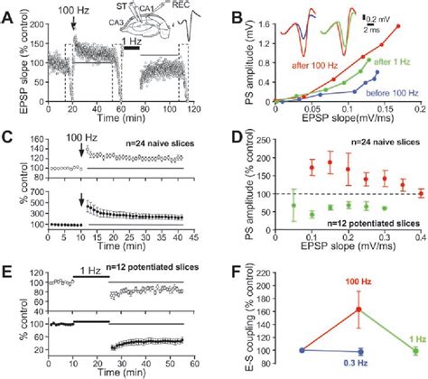 Regulation Of Excitatory Postsynaptic Membrane Potential Semantic Scholar