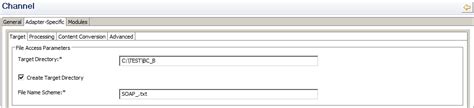 soap adapter soap2file using soapui nwds iflow and ico