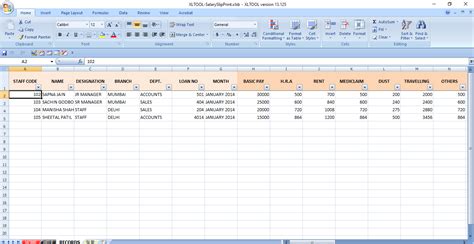 Salary Slip Software Excel Xltool Excel Spreadsheet Format Utility