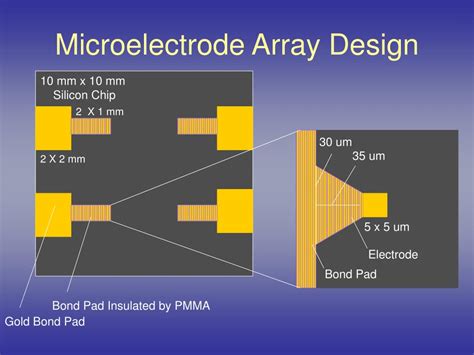 Ppt Quantum Dots For Neuronal Stimulation Powerpoint Presentation