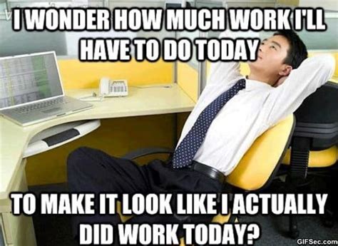 Meme First Year Apprentice Viral Viral Videos