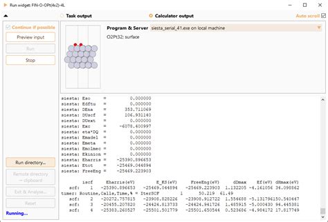 The Run Widget — Asap User Manual 20250 Documentation