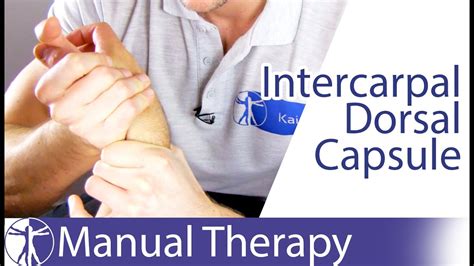 Intercarpal Assessment And Mobilization Wrist Flexion Radioscaphoid