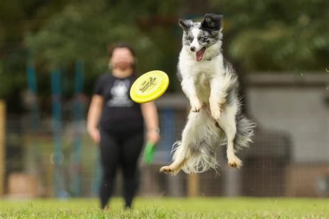 Group Classes Your Training Community — Instinct And Intelligence