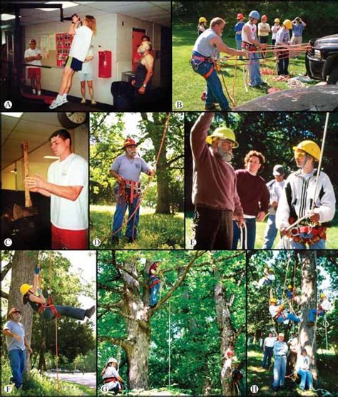Tree Climbing Babe A Exercises Included Repetitive Pullups To Download Scientific Diagram