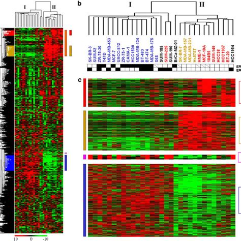 Global Gene Expression Profiling Of Breast Tumour Cell Lines A
