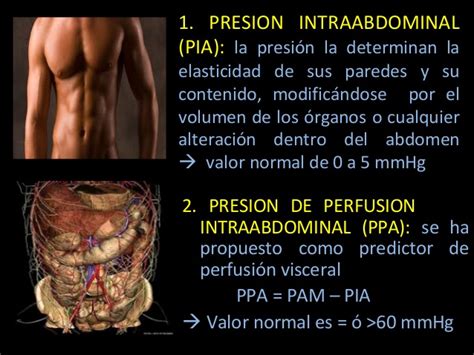 Hipertensión Intrabdominal Y Síndrome Compartimental Abdominal