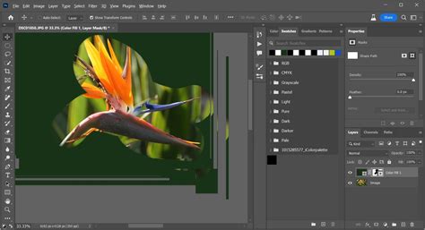 Solved Image Panel Breaks Up On Resize Adobe Product Community 14214942