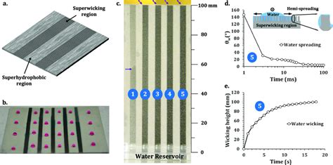 Superhydrophobicity Guided Superwicking Metal Surface Fabrication A