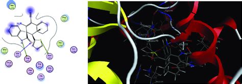 2d And 3d Binding Mode Of Most Active Compound 6i Feb ¼ À18 43