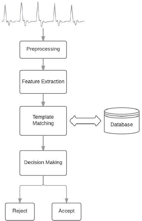 Figure 1 From Ecg As A Biometric For Individuals Identification