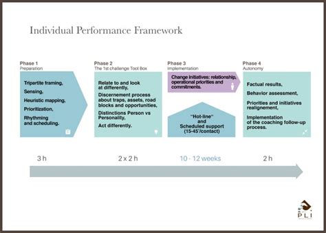 Individual Performance Pli Performance And Leadership Institute Team