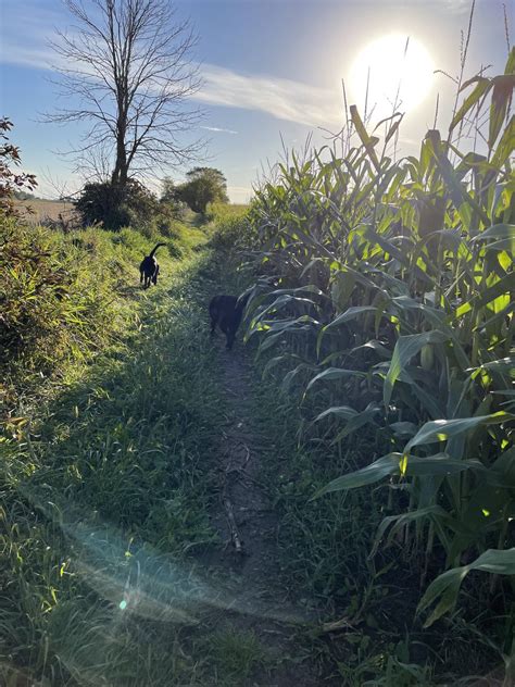 Jerry Kapp Jerrykapp11 Twitter