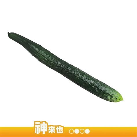 【認識蔬果】仿真蔬菜模型 白蘿蔔 感官玩具 仿真蔬菜水果模型 裝飾道具 模型 仿真 水果 蔬菜 假水果道具 幼教學習 Yahoo奇摩拍賣