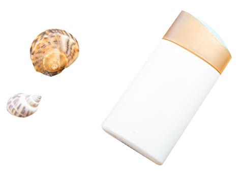 자외선 차단제 껍질 선크림 조개 껍데기 조가비 Png 일러스트 및 이미지 에 대한 무료 다운로드 Pngtree