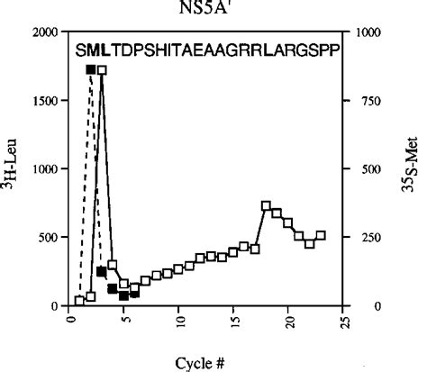 N Terminal Sequencing Analysis Of Hcv Ns5ah Protein The Graph Shows