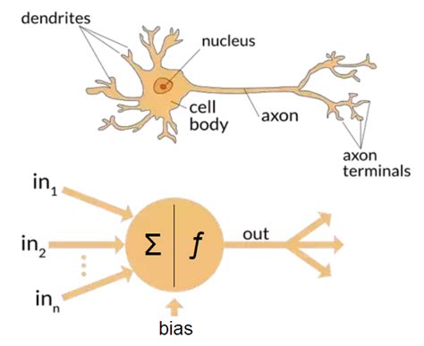 Deep Learning Series Part 1 Introducing Artificial Neural Networks