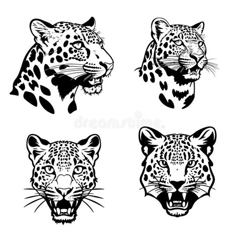 Leopard Head Logo Vector Stencil Set Stock Illustration Illustration Of Head Logo 282218337