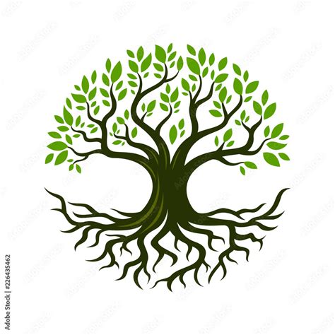 Tree Root Design Illustration Stock Vector Adobe Stock