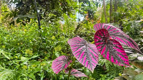 Buku Referensi Sistem Inferensi Fuzzy Dengan Metode Mamdani