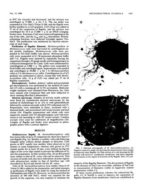 Isolation And Ultrastructure Of The Flagella Of Methanococcus Thermolithotrophicus And