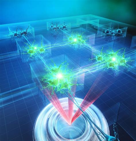 Neuroscience Breakthrough In Vitro Neurons Exhibit Advanced Brain Like Behavior