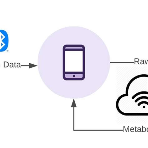 A Schematic Representation Of The Lumen ® Device And Application