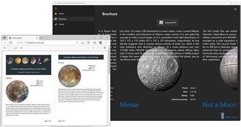 Generating Pdf Documents In Winui Xaml Brewer By Diederik Krols