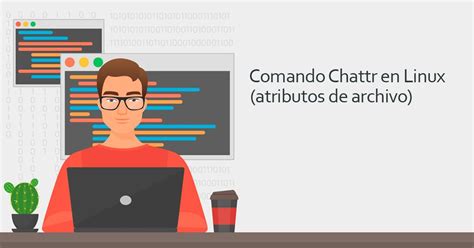 comando chattr en linux atributos de archivo extassis network