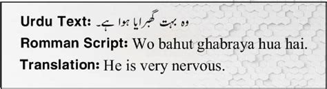 Translation From Urdu To Roman Urdu And English Download Scientific Diagram