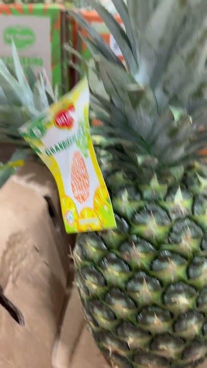 精心处理过的菠萝，表皮的刺都刮掉了，diy削皮不用再担心扎手 Youtube