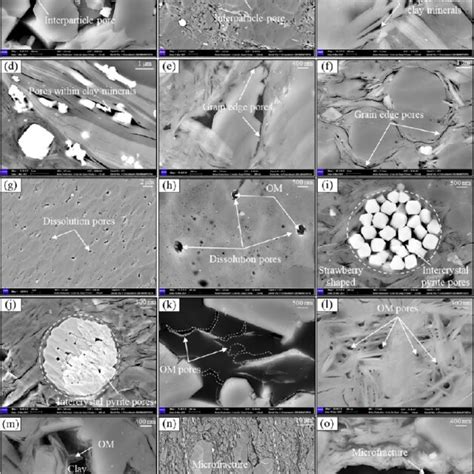 Fe Sem Characteristics Of The Gulong Shale A Interparticle Pore